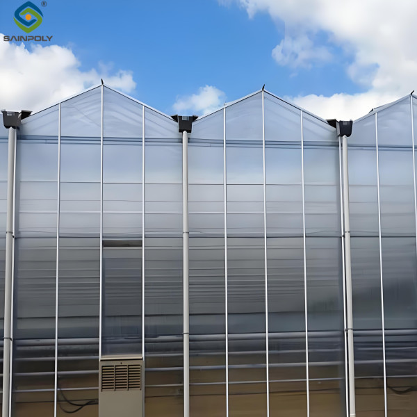 Quality Multi Wall Polycarbonate Gothic Style Greenhouse With Hollow Sheet for sale