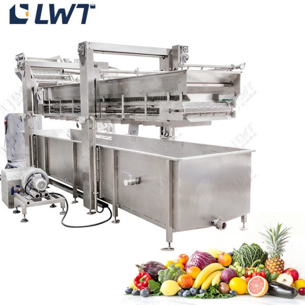 Quality CE Certified Automatic Vegetable Bubble Washing Machine for sale