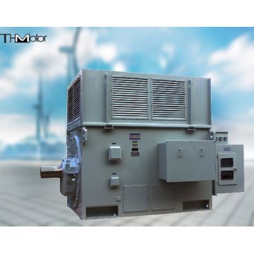 Quality 6KV 10KV Three Phase Induction Wound Rotor Synchronous Motor IP44 for sale