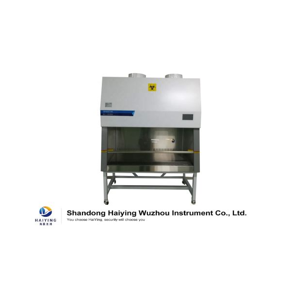 Quality Class II A2 Biosafety Cabinet 10 Degree Physiological Slope for sale
