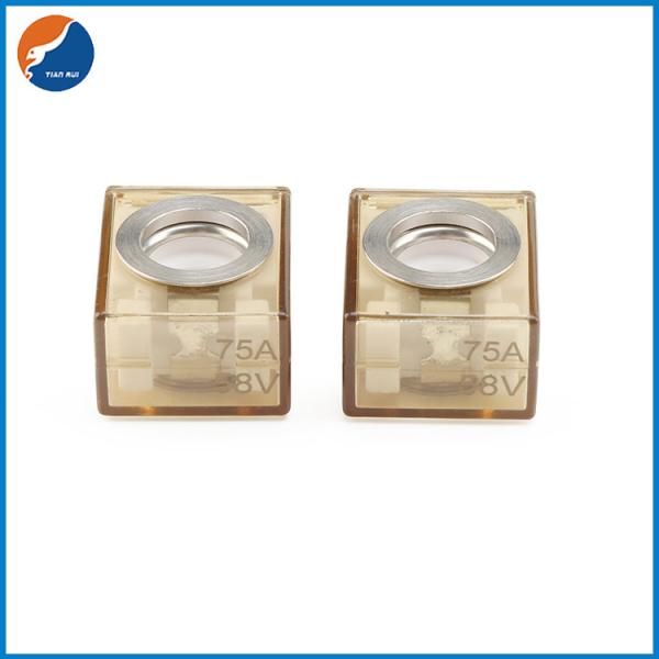 Quality Ignition Protected Marine Rated Battery Terminal Fuse 58VDC Maximum IP66 for sale