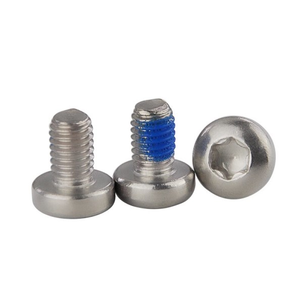 Quality Pan head Torx slot full threaded nylon glue patched machine screws for sale