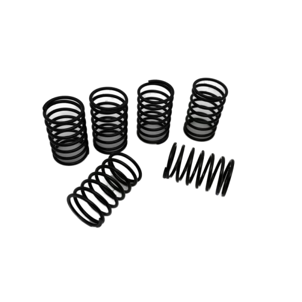 Quality OEM Spring Alloy Coil Springs Special-shape and Conventional Compression Spring for sale