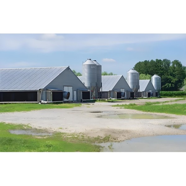 Quality Anti Corrosion Metal Barn Workshop Prefab Chicken Houses Customization for sale