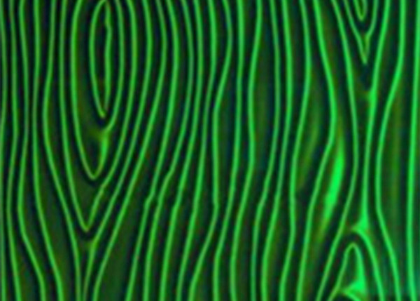 Quality 4-12MM Printed Laminated Glass Backsplash 300X300MM for sale
