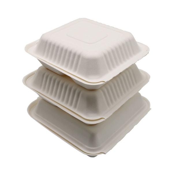 Quality 9x9inch Disposable Microwavable Clamshell Takeaway Boxes for sale