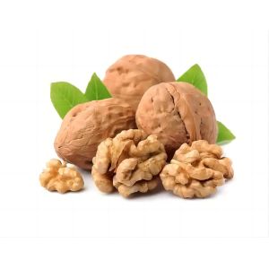Bulk Paper Shell Walnut Kernels In Shell Natural Color XinFu Kernel ...