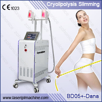 Quality Professional Cryolipolysis Slimming Machine Weight Loss Beauty Equipment for sale