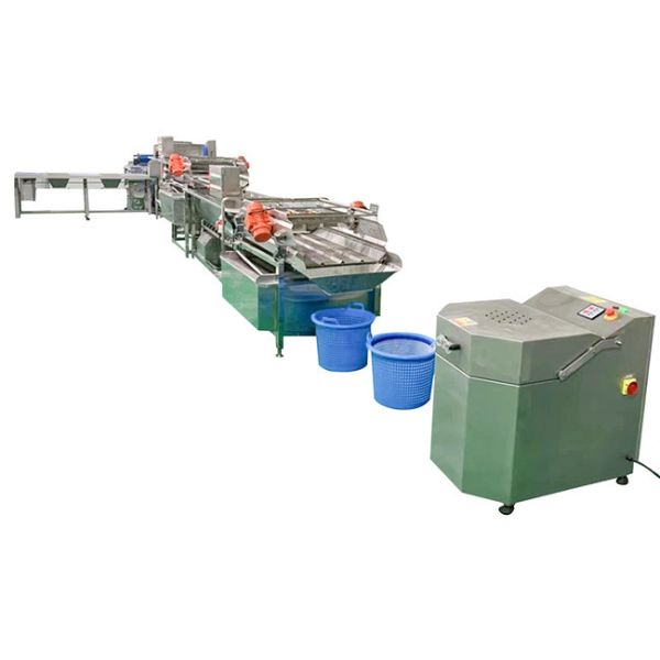 Quality Diced Cleaning 1700kg/H Vegetable And Fruit Washing Machine for sale