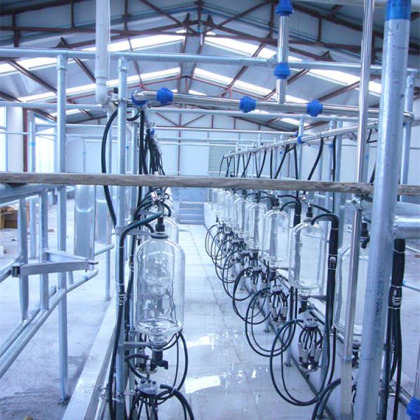 Quality Automatic Glass Milk Measure Herringbone Milking Parlor System for sale