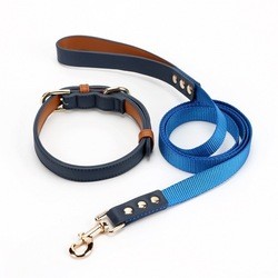 Quality Durable Reflective Harness Leash Set Comfortable Dog Collar Leash for sale