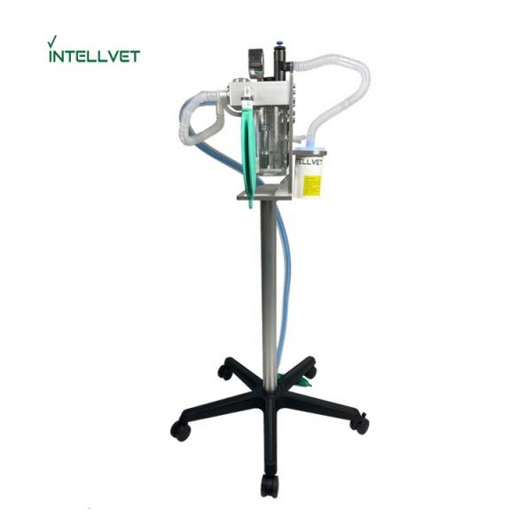 Quality Plastic Small Animal Anesthesia Machine Pets Treatment For Health for sale