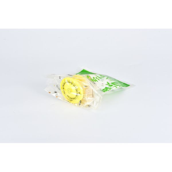 Quality Insect Control Plastic Flying Catcher Trap Bag for Safe and Eco-Friendly Pest for sale