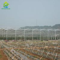 Quality OEM Flowers Polycarbonate Sheet Greenhouse Transparent Tropical Fruit Greenhouse for sale