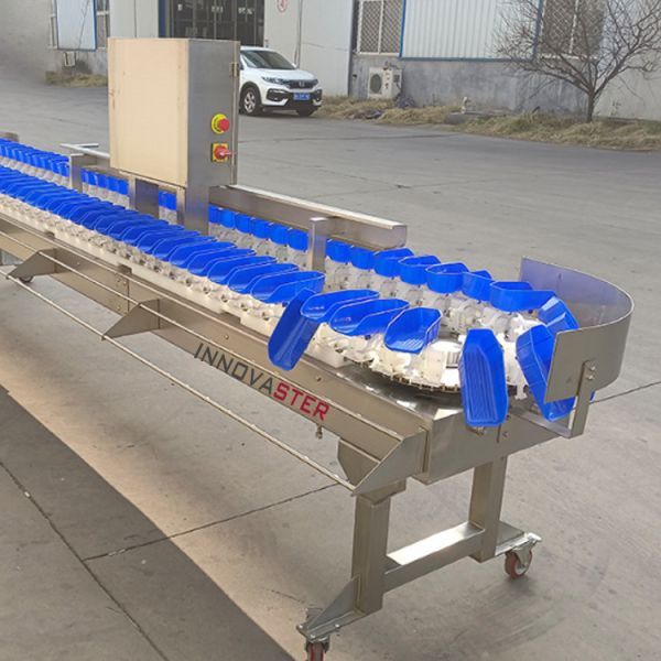 Quality Manufacturing Plant Must-Have Multi-function Avocado Machine Weight Sorting for sale