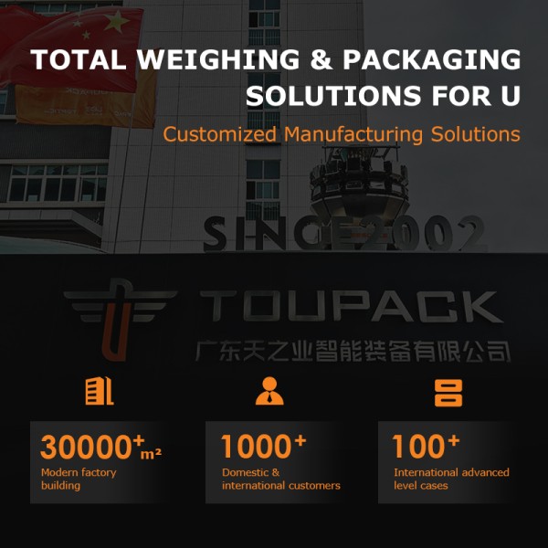 Quality High Speed Automatic Vertical Packing Machine for Snacks Nuts Granules Food for sale