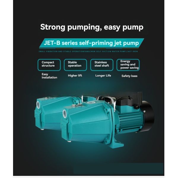 Quality 220V Single Phase Self Priming Jet Pump For Household Water Tower Water Supply for sale