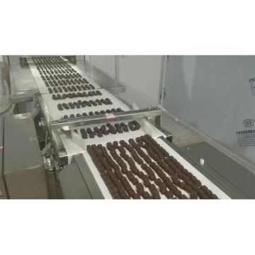 Quality Chicken Bouillon Cube 10g Powder Rotary Tablet Press Machine for sale