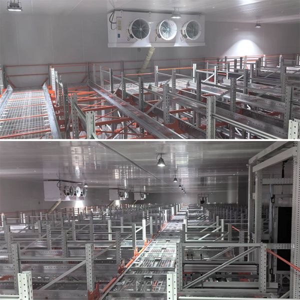 Quality Four-Way Shuttle Pallet ASRS Cold Storage Warehouse Automatic Storage and for sale