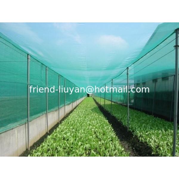 Quality UV Treated Agriculture Insect Net for sale