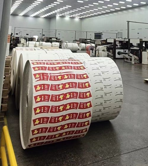 PE Coated Paper Roll for disposable cups