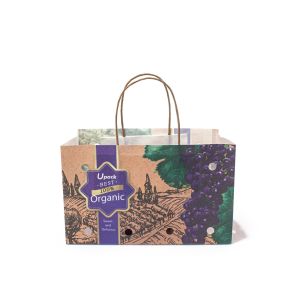 Quality Twisted Handle Fruit Paper Bags Compostable Recyclable SEDEX Certified for sale