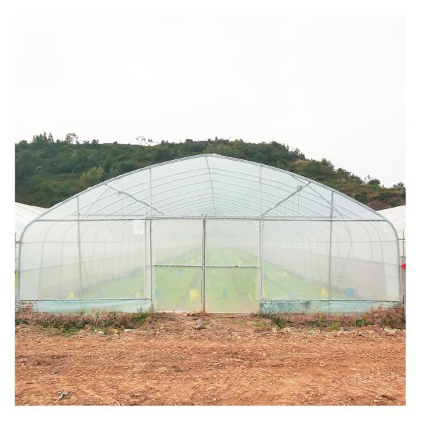 Quality Stable Structure Polyethylene Film Greenhouse / Vegetable Tomato Plant for sale