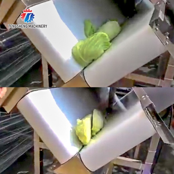 Quality Stainless Steel Vegetable Processing Machine 1.1KW Fruit Cutting Halt Machine for sale