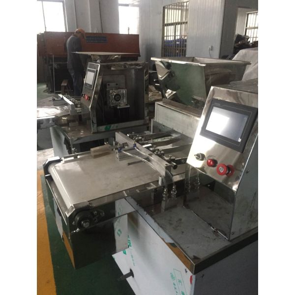 Quality Crisp Chocolate Chip Wire Cut Cookie Machine Automatic Extruding for sale