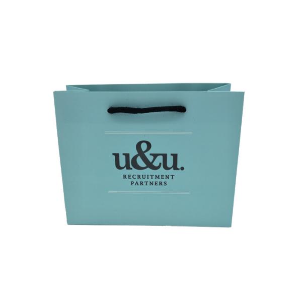 Quality Personalised Printed Matt Lamination Art Paper Gift Bags with Handles for sale