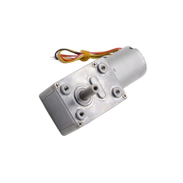 Quality 100rpm 12V 24V Worm BLDC Brushless DC Gear Motor With Encoder for sale