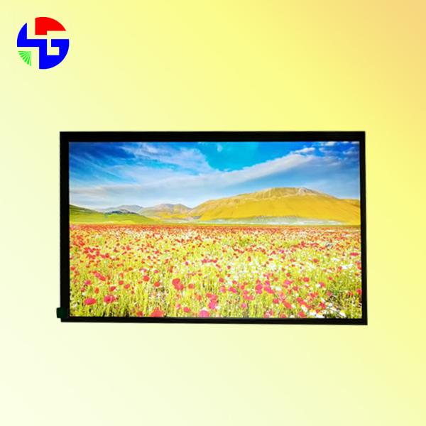 Quality High Brightness LVDS Interface 10.1 Inch TFT Display IPS 1200x1920 for sale