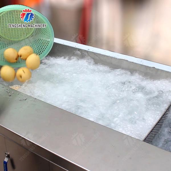 Quality Washing and juicing production line Fruit Orange Leaves Vegetables sward beans for sale