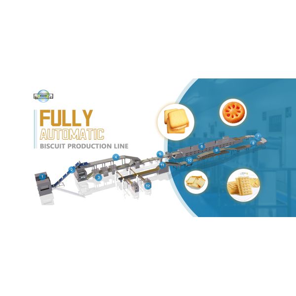 Quality Full Automatic Biscuit Processing Line, Hard Biscuit Making Line Equipment, Soft for sale