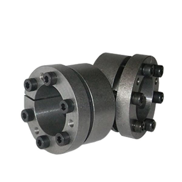 Quality Z13 Series GCr15 Bearing Steel Shaft Locking Assembly RLK302 for sale