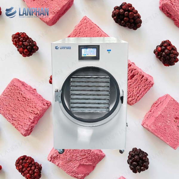 Quality 3M2 Lanphan Candy Cake Freeze Dryer Machine Fruit Vegetable Freeze Drying Lypholizer Machine for sale