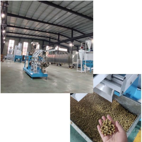 Quality CE Approve Floating Fish Feed Pellet Production Line Pet Feed for sale