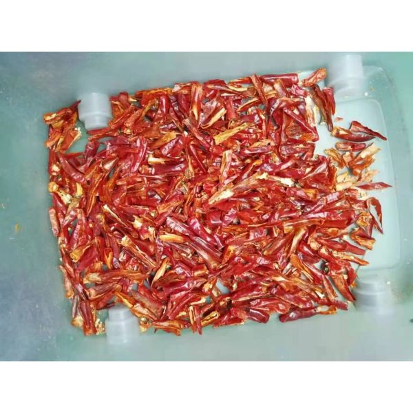 Quality 2 Chutes 128 Channels Chili Sorting Machine CE Approved For Pepper for sale