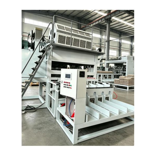 Quality Rotary Egg Tray Machine Waste Paper Recycling Machine for sale