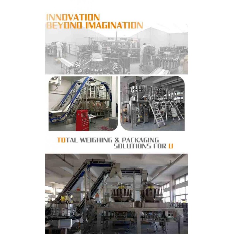 Double Servo Vertical VffS Automated Packaging System 0