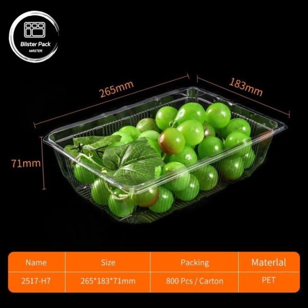Quality Transparent PET Clamshell Fruit Containers Disposable Plastic Boxes with Lids for sale