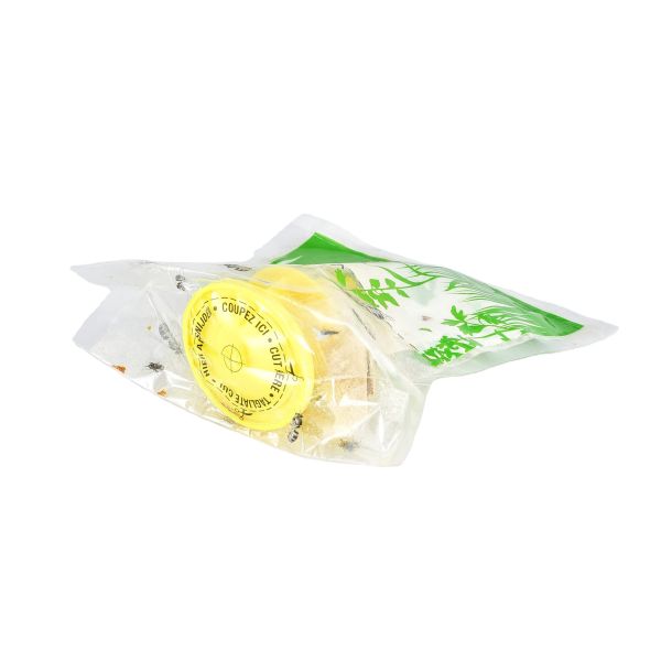 Quality Insect Control Plastic Flying Catcher Trap Bag for Safe and Eco-Friendly Pest for sale