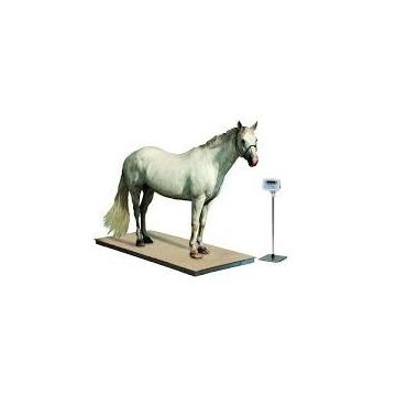 Quality Veterinary Platform Scale Stainless Steel With Indicator Horse Goat Pet Hog for sale