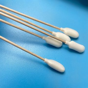 Quality Foam Tip Sterile Disposable Sampling Swab EO Sterilized With Wooden Stick for sale