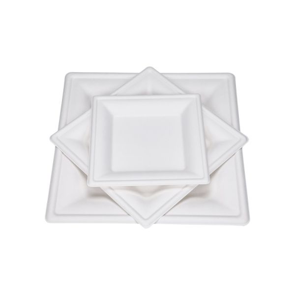 Quality 9in 10in Eco Friendly Compostable Sugarcane Paper Plates Dessert Square Cake for sale