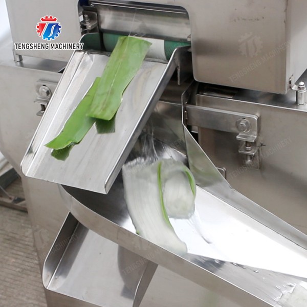 Quality Aloe peeling machine processing production Peeling Machine for sale