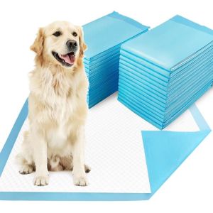 Quality Puppy Pee Training Super Absorbent Disposable Dog Training Pads for Potty for sale