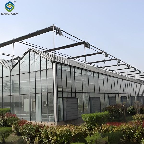 Quality Hydroponic Venlo PC Polycarbonate Solar Glass Greenhouse Customizable for sale