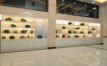 China Factory - Witgain Technology Ltd