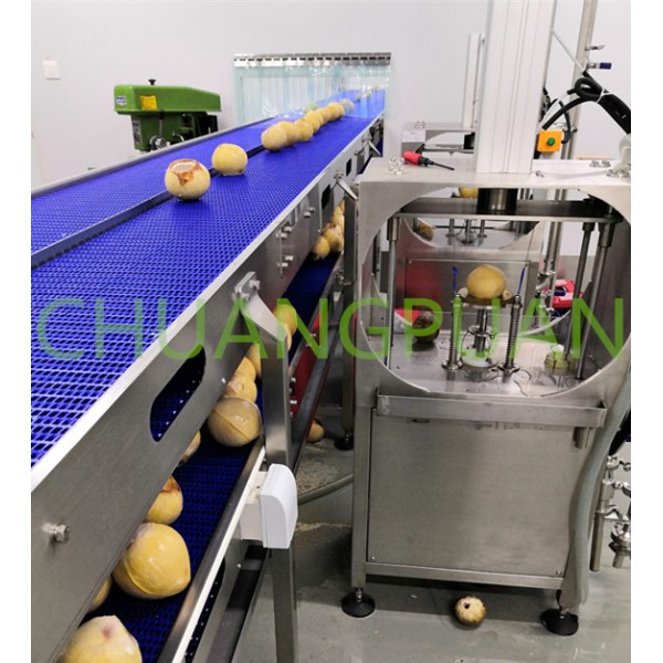Quality Milk Coconut Processing Machine With 304 Stainless Steel for sale